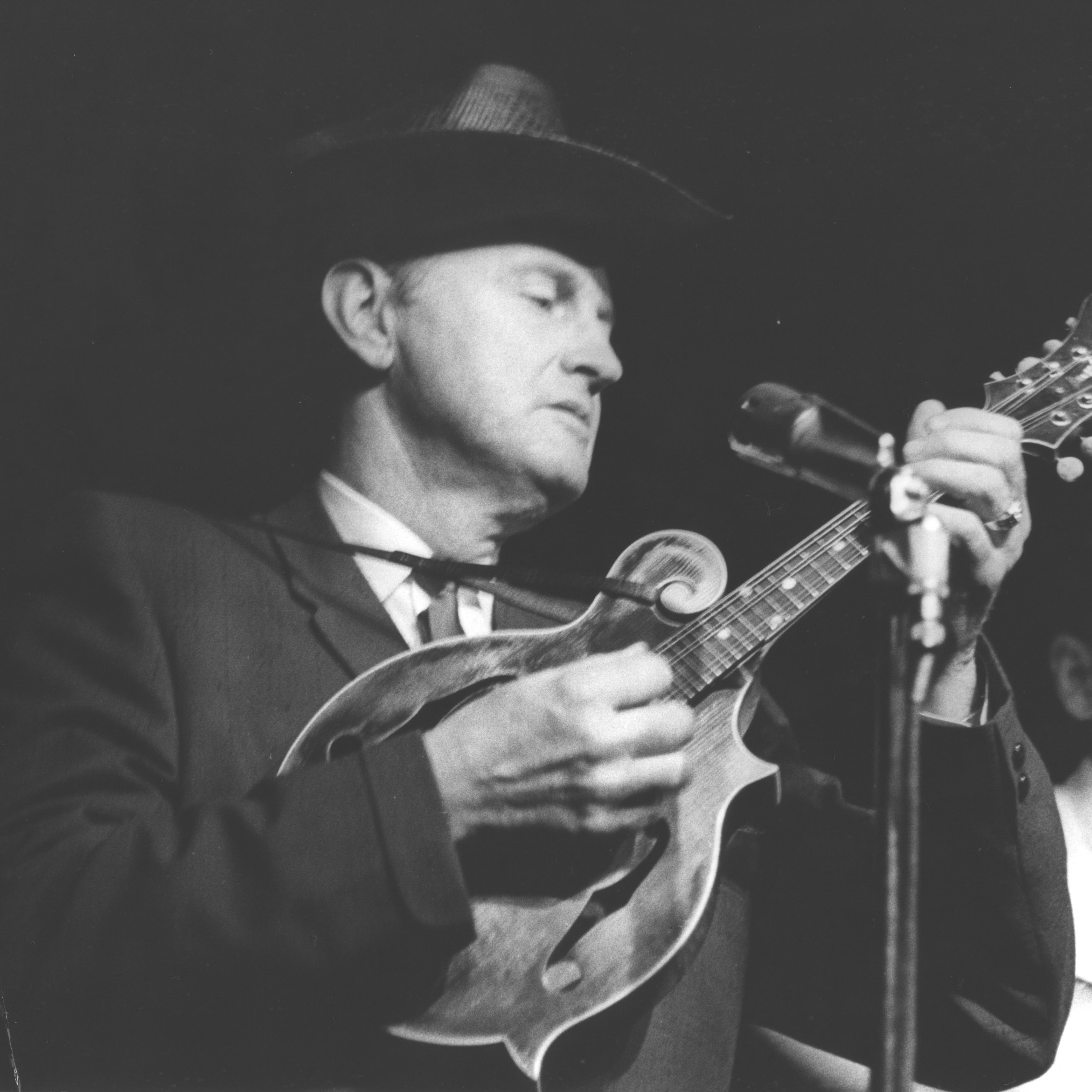 Roots and Routes | American Routes