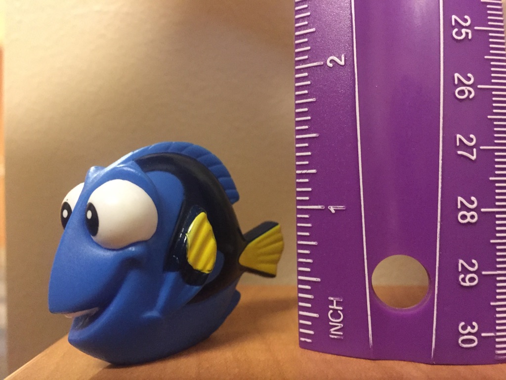 Dory – The Archaeology of Us