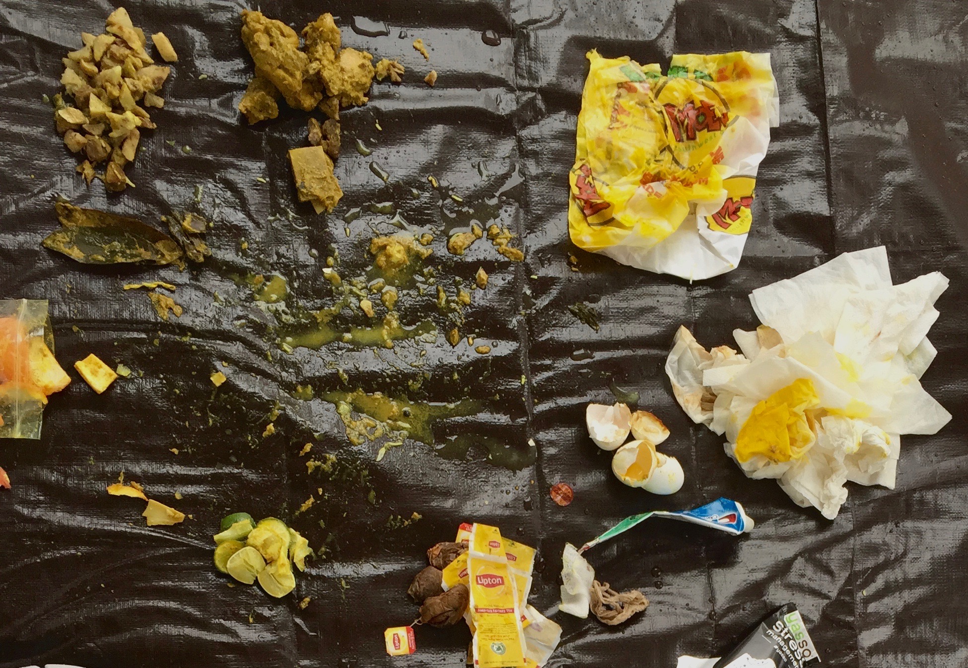 Trash & Brands: What they indicate about a person – The Archaeology of Us