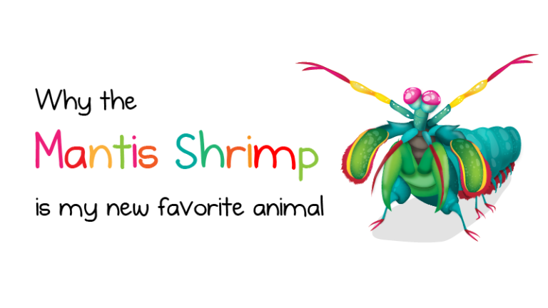 Vision in Mantis Shrimp – Arts on the Brain