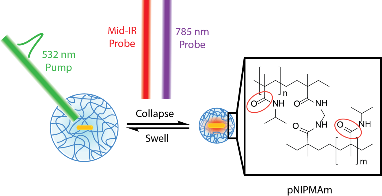 DARPA Collaboration – Dyer lab