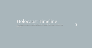 Visualizing the Holocaust – Emory Center for Digital Scholarship