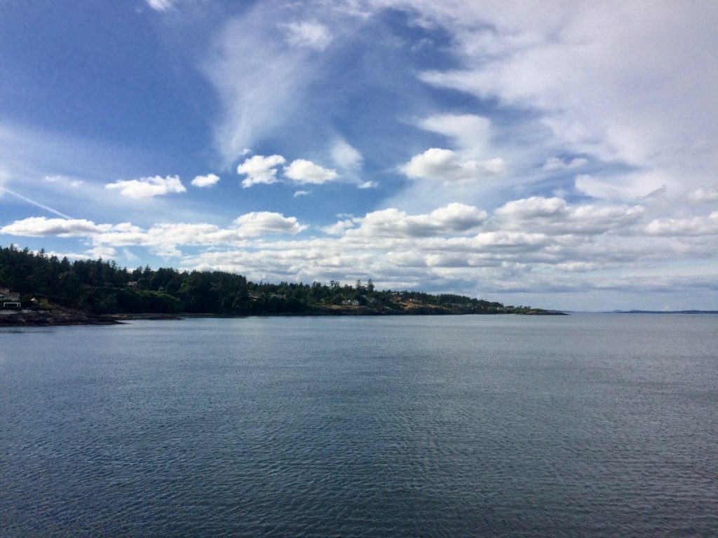 ECDS offers week-long digital publishing course at DHSI 2018 – Emory ...