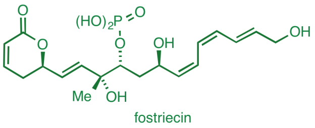Research – Frank E. McDonald's Lab