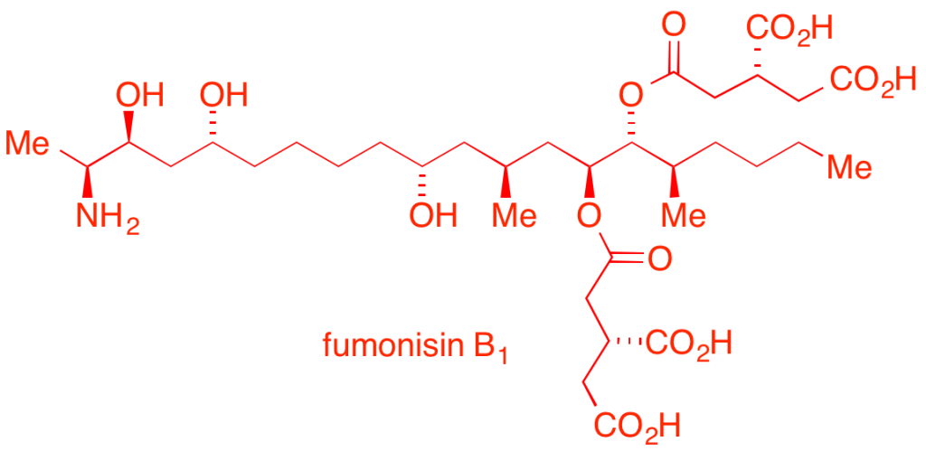 Research – Frank E. McDonald's Lab