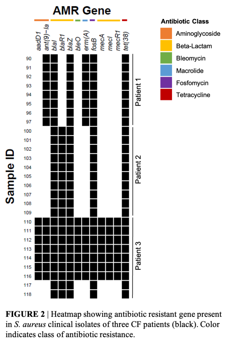 Diversity of Clinically Isolated CF pathogens – Joanna Goldberg Laboratory