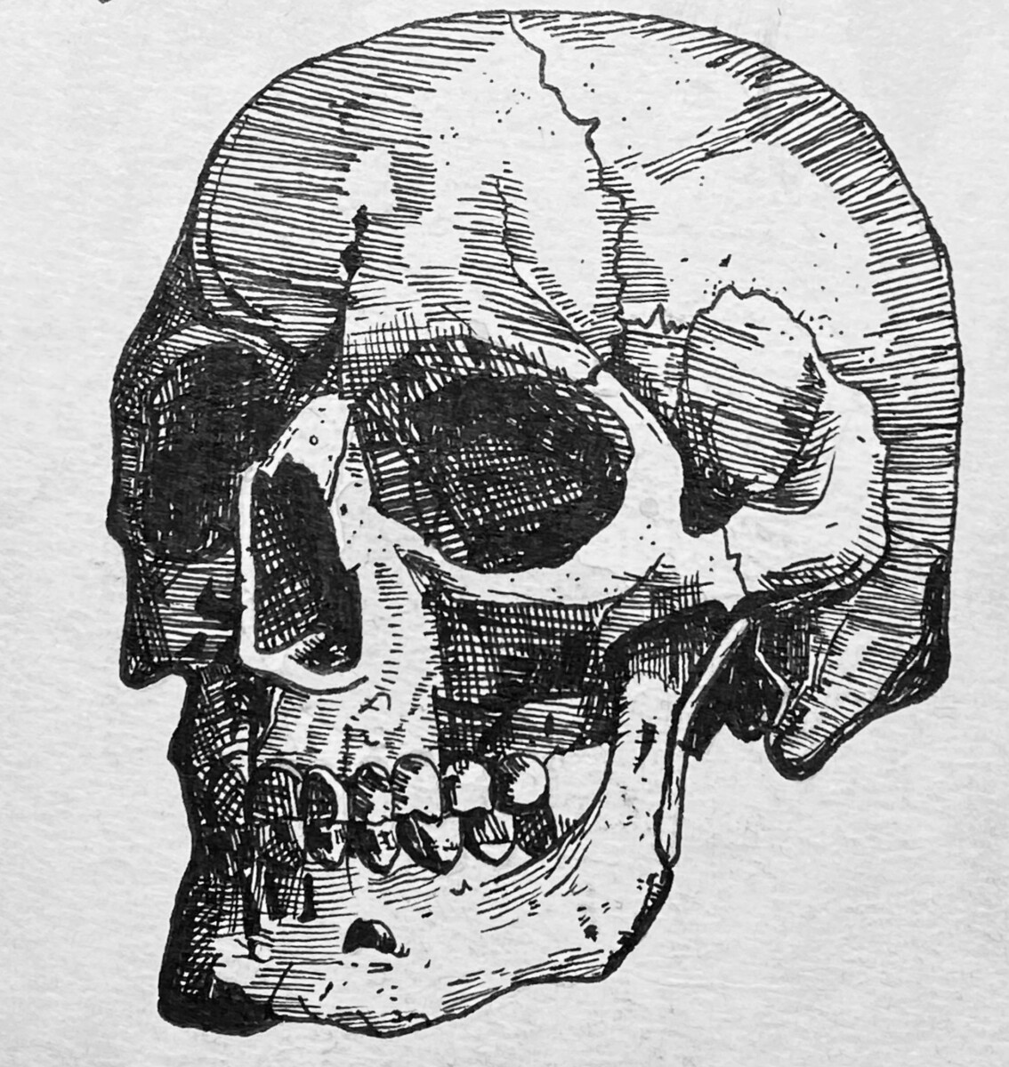 Articles – Grey Matters Emory