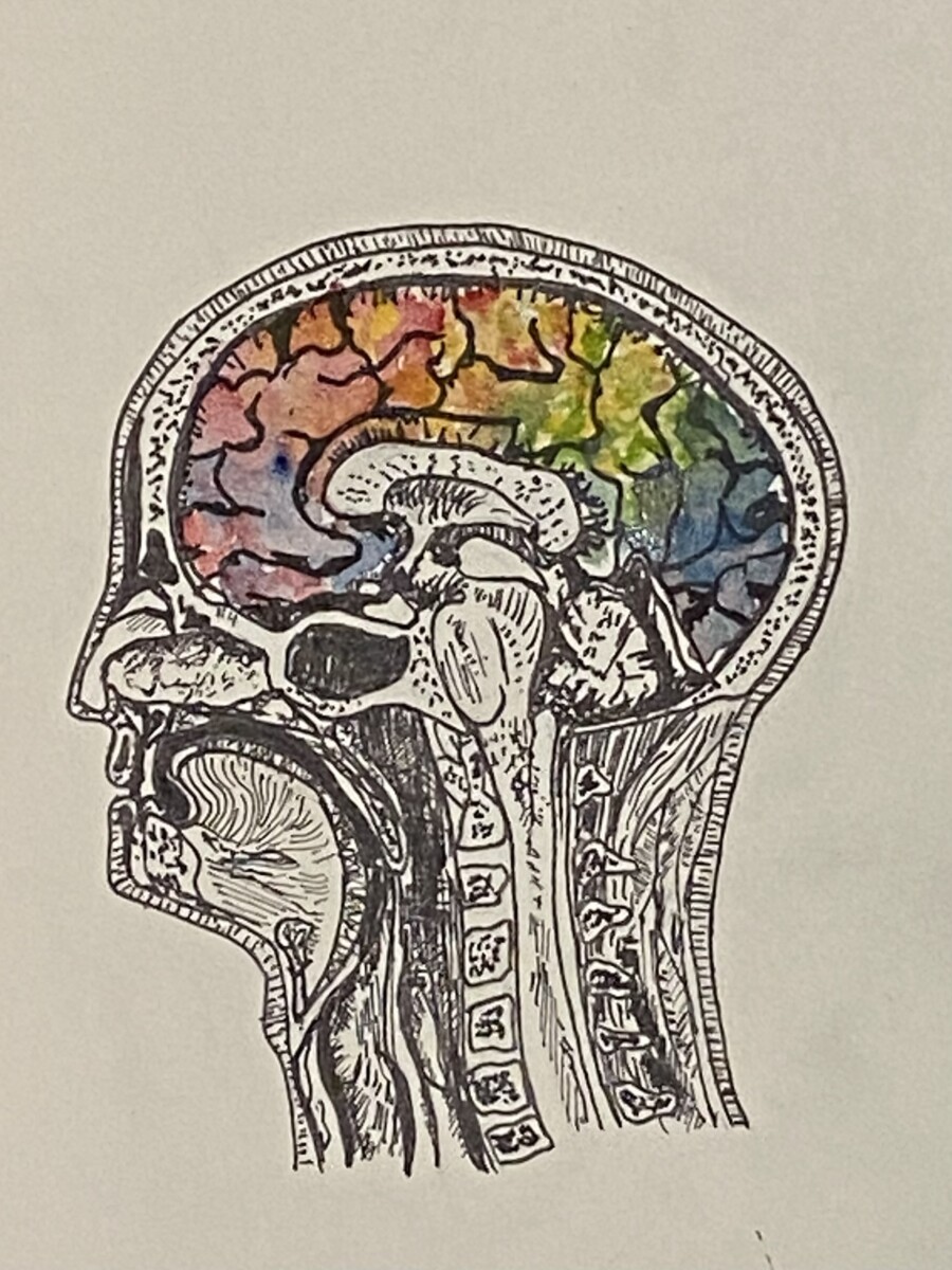 Articles – Grey Matters Emory