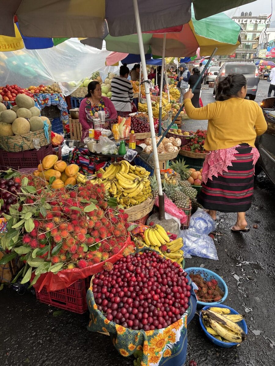 What Are Human Rights – Human Rights In Guatemala