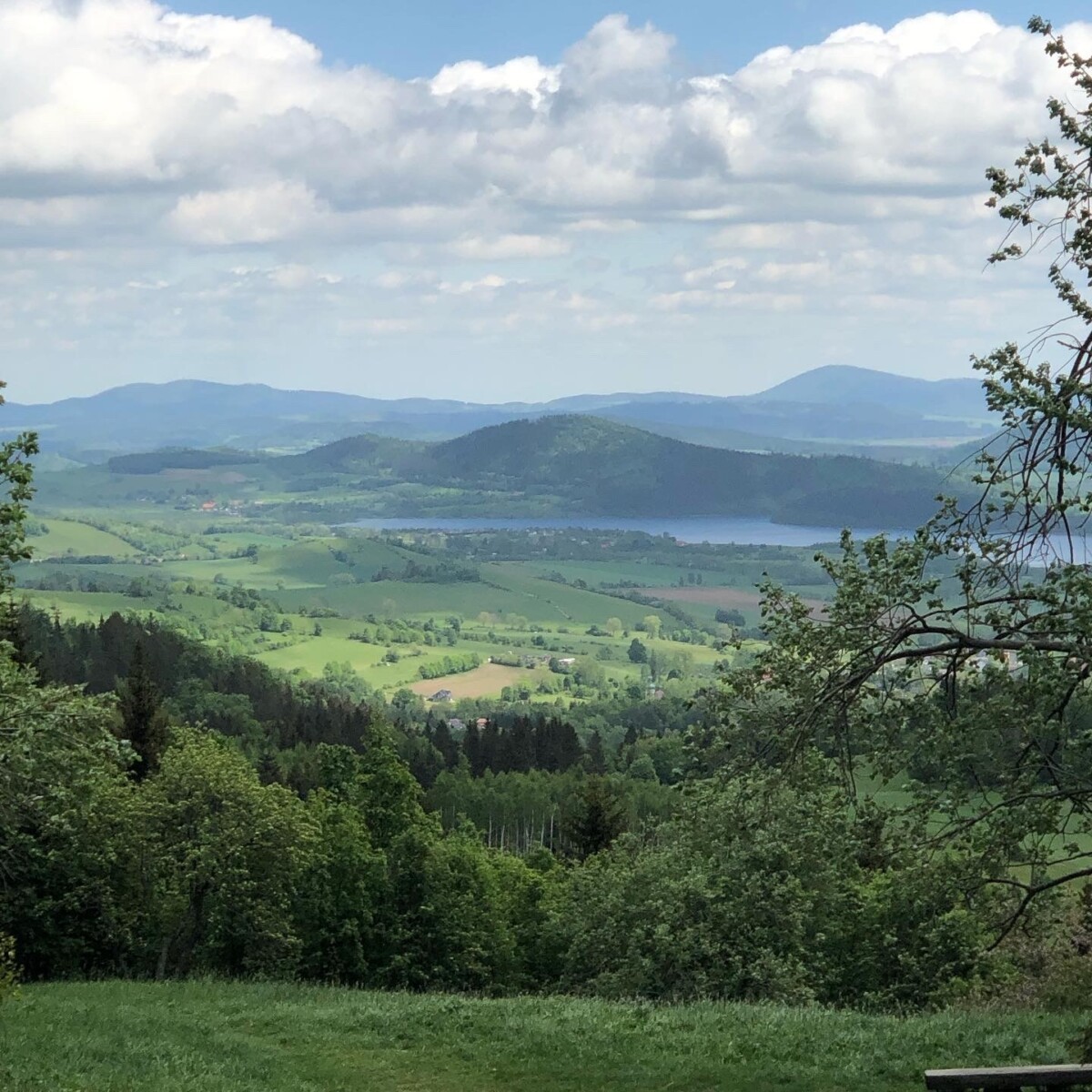 Why Design Your Own Major at Emory? – Transformations