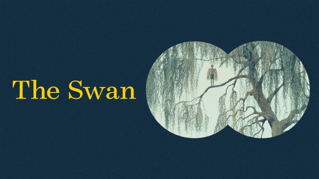 Wes Anderson’s Shorts and The Swan – Intro to Film 2023