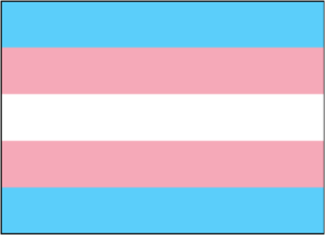 Transgender Pride Flag – These Colors Run Deep