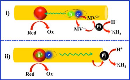Transient Absorption Spectroscopy