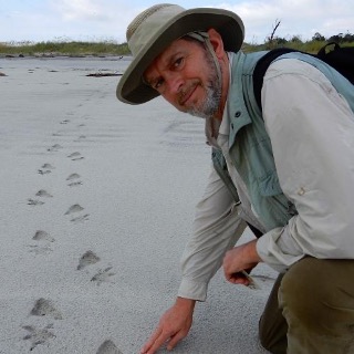 Articles 2020-2021 – Open Access at Emory