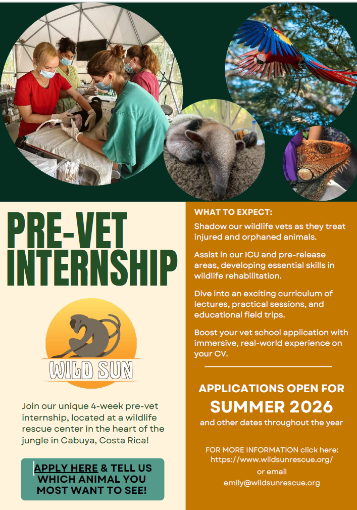 🌿 Wildlife Medicine Internship in Costa Rica: Summer 2026 – Emory Pre ...