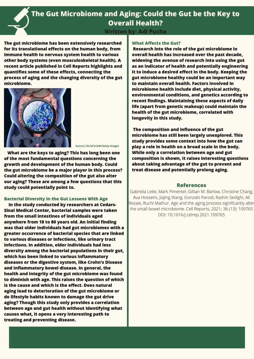 The Gut Microbiome and Aging: Could the Gut Be the Key to Overall ...
