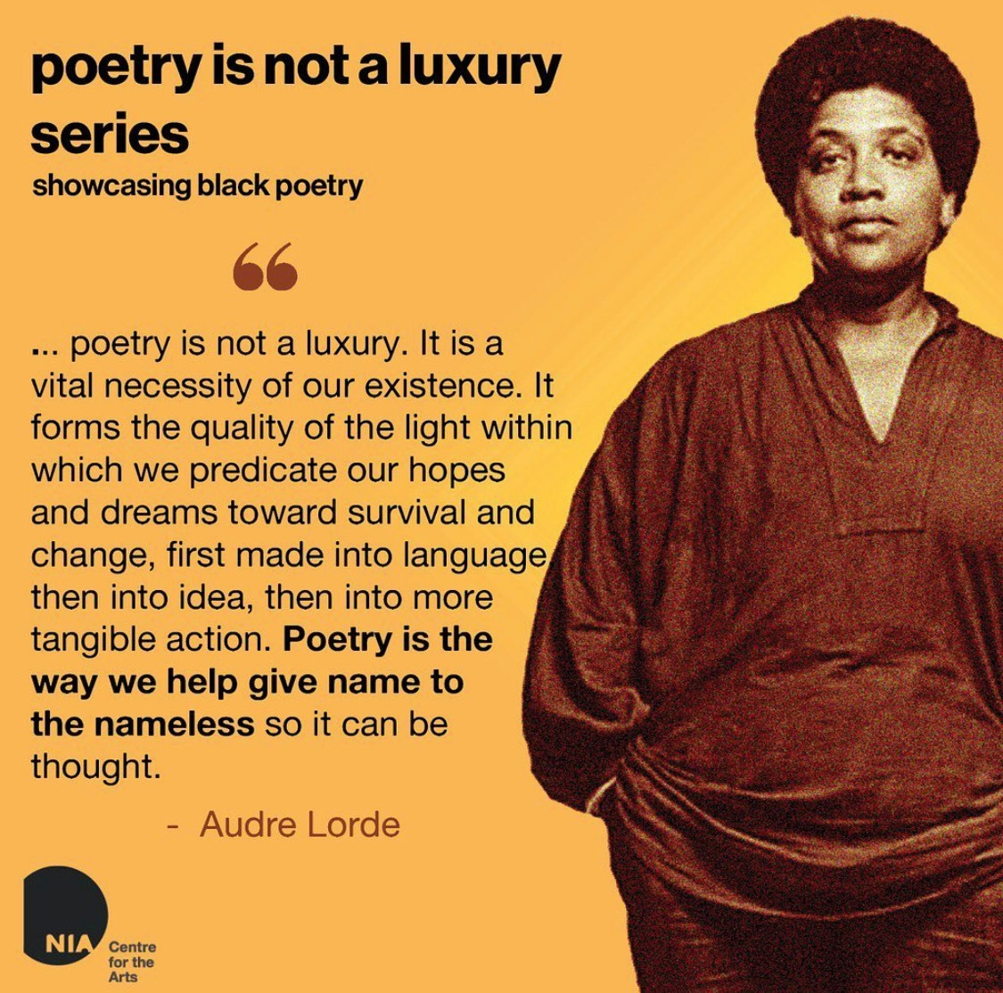 Audience – Queer Cultures 101