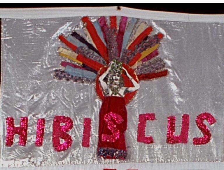 HIV/AIDS – Queer Cultures 101
