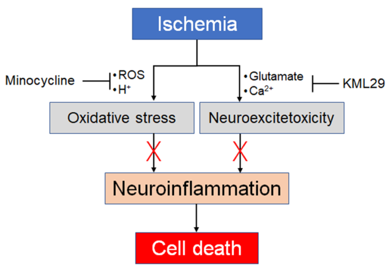 2021 Publications – Emory Radioactive Drug Discovery (Steven Liang)