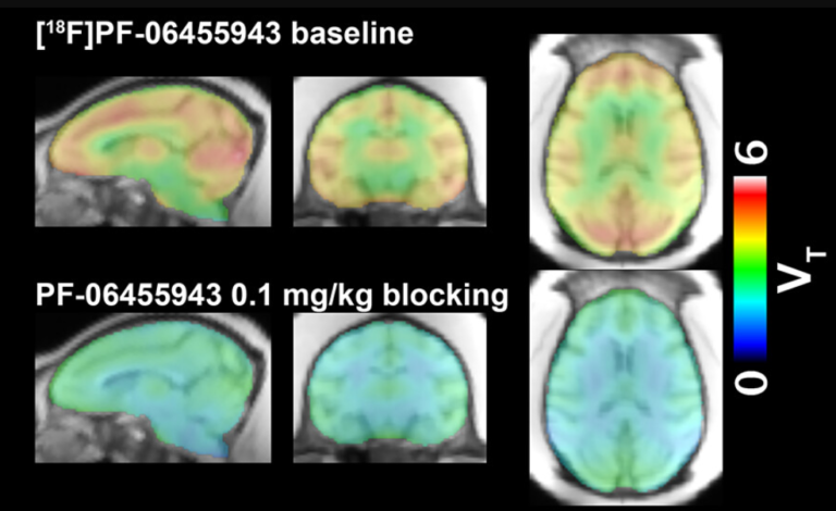 2023 Publications – Emory Radioactive Drug Discovery (Steven Liang)
