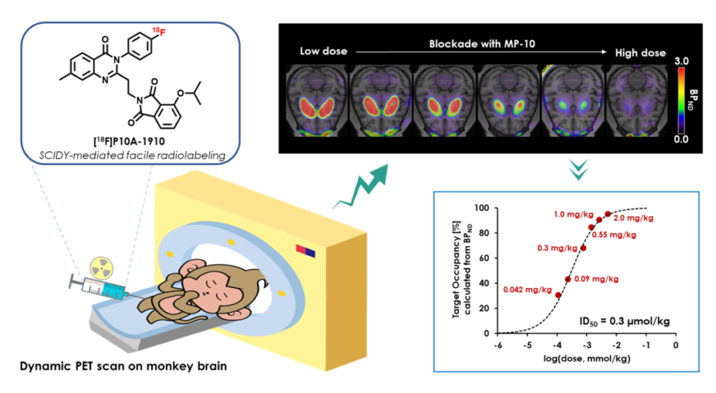 2021 Publications – Emory Radioactive Drug Discovery (Steven Liang)