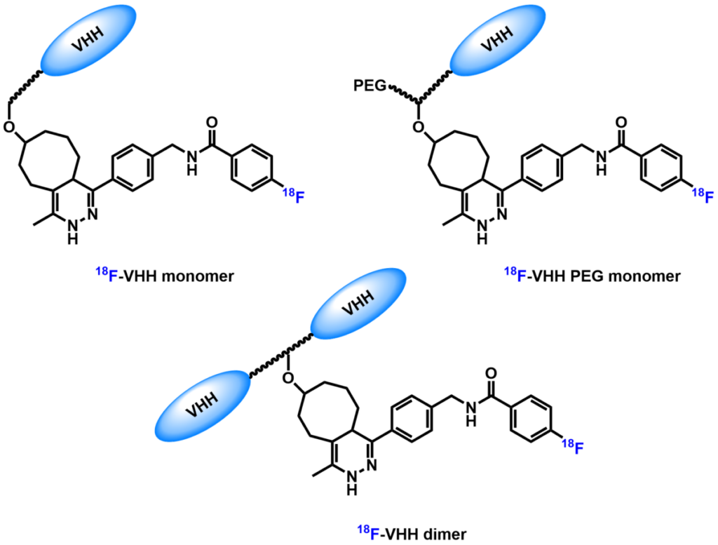 Radioactive Drugs & PET Ligands in Development – Emory Radioactive Drug ...