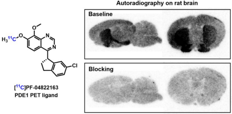 2024 Publications – Emory Radioactive Drug Discovery (Steven Liang)