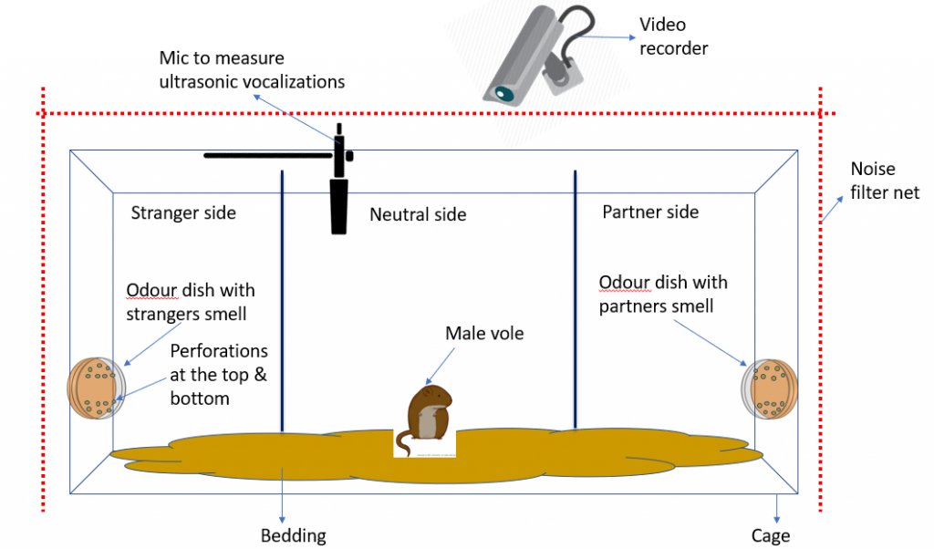 SIRE299/RPP 2017 (Michael Thees's Section) – Where you share your research