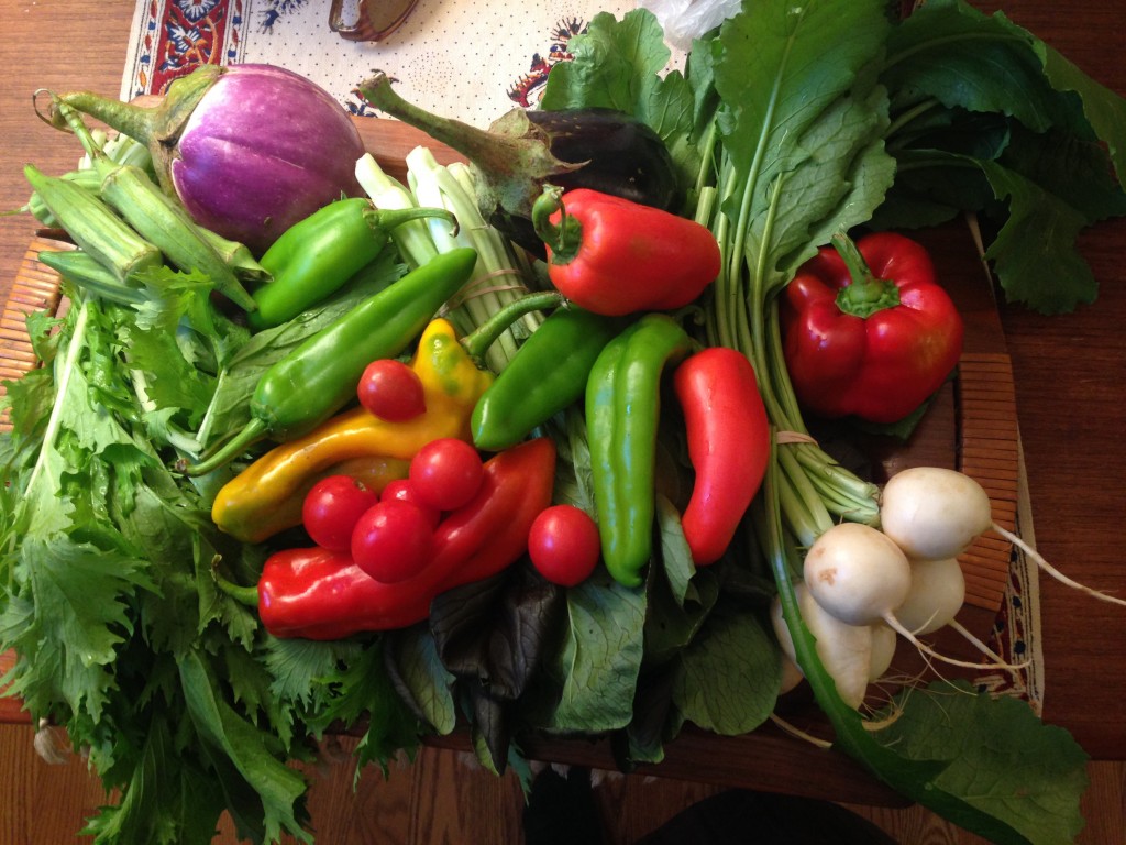 Pictures! | The 11th Annual Emory Sustainable Food Fair