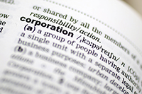 Choose Your Corporate Structure